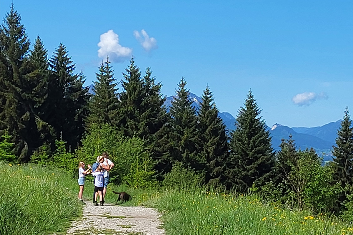 Wandern rund um den Buchenberg - KITZ-Magazin München